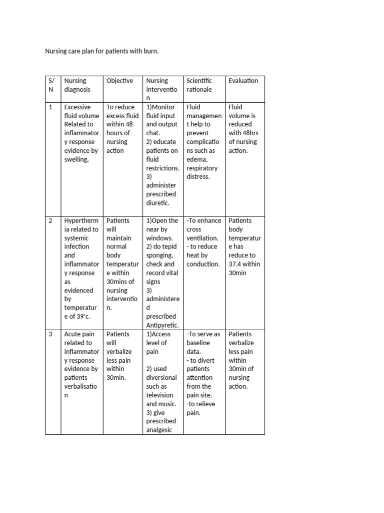 Nursing Care Plan for Burn Patients | PDF | Pain | Inflammation