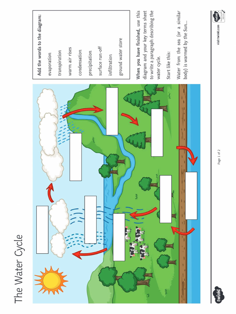 Water Cycle | PDF