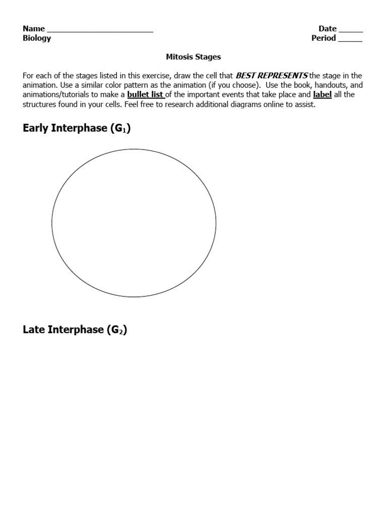 Mitosis Animation Diagram | PDF | Mitosis | Life Sciences