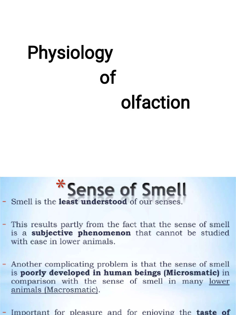Olfaction Physiology and Flavor Sensation | PDF