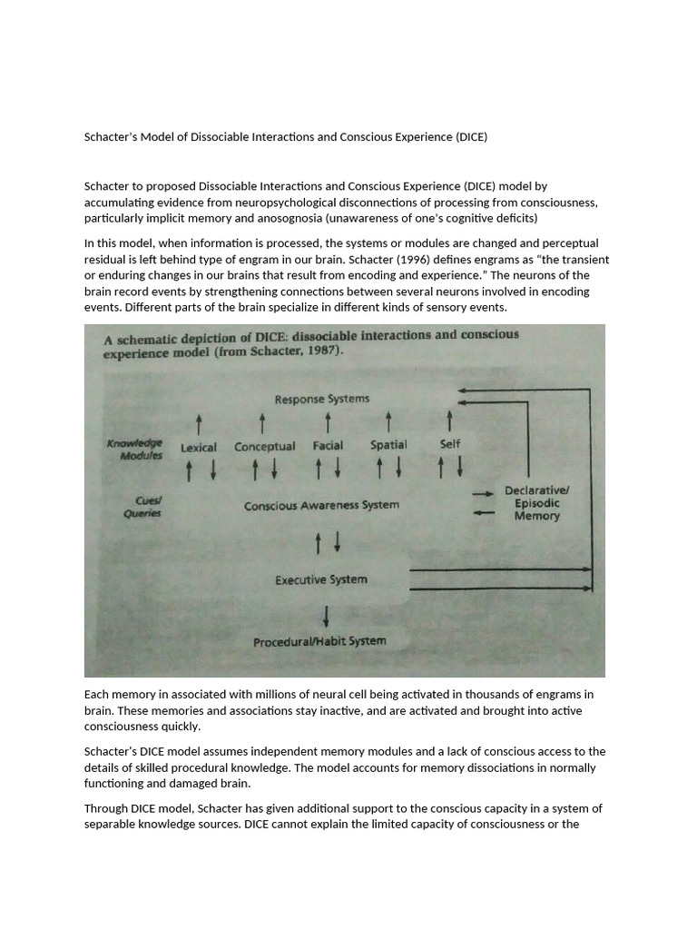 Schacter's Model of Dissociable Interactions and Conscious Experience ...