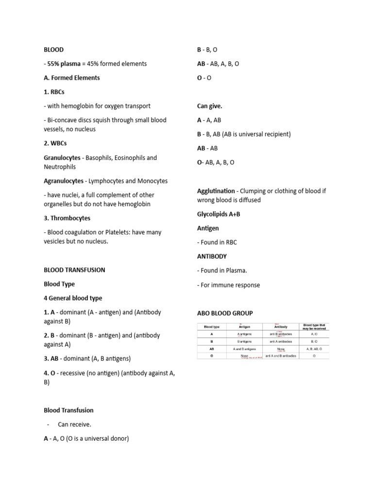 BLOOD | PDF
