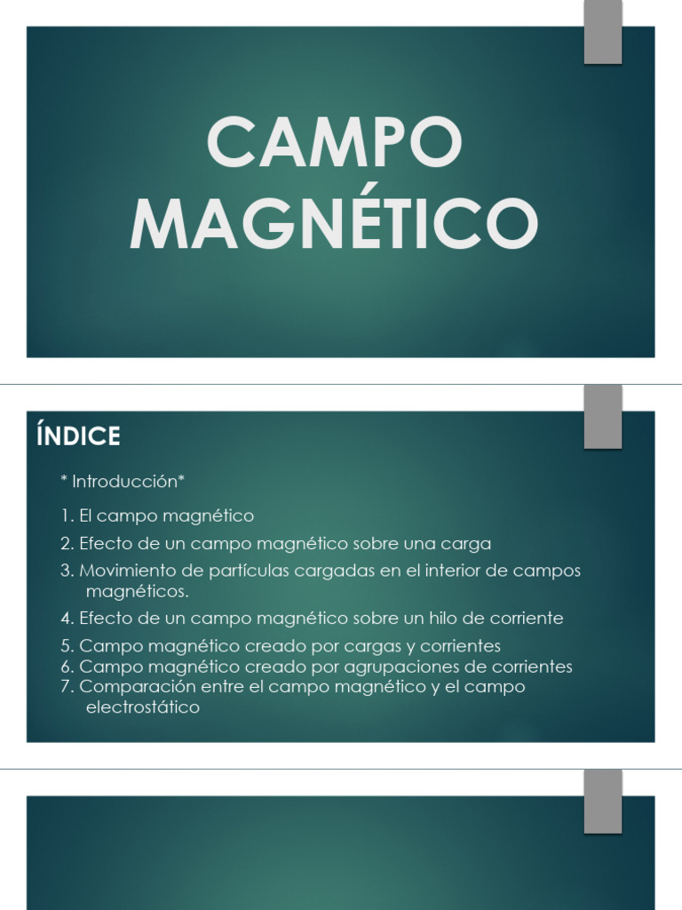 Campo Magnético | PDF | Campo magnético | Magnetismo