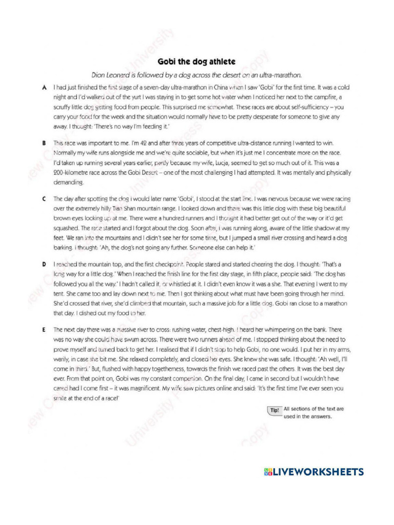 Worksheet 2046549 | PDF