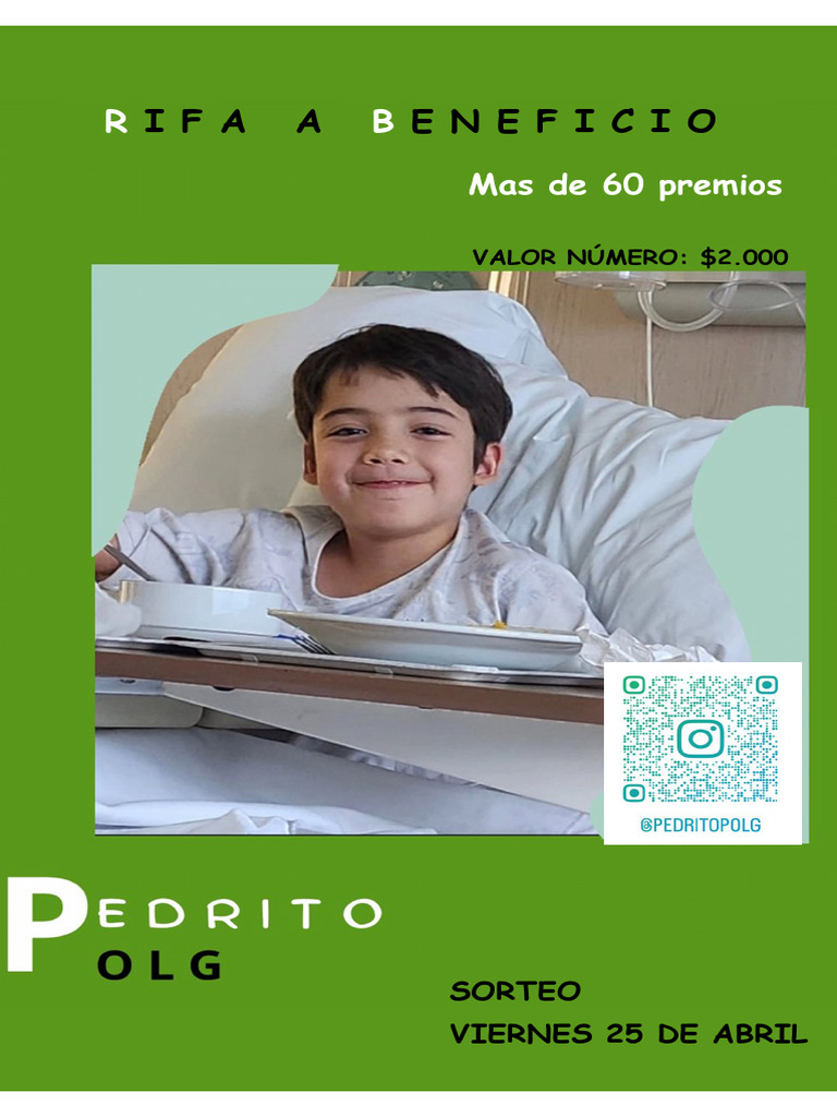 RIFA Ayuda A Pedrito | PDF