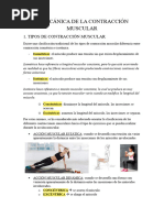 Modelo de Hill en Contracción Muscular | PDF | Músculo esquelético | Actina