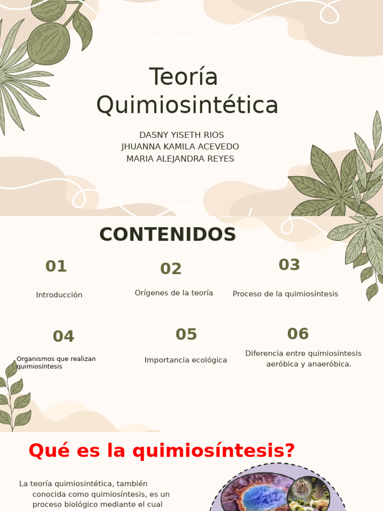 Quimiosíntesis: Proceso y Organismos | PDF | Archaea | Compuestos orgánicos