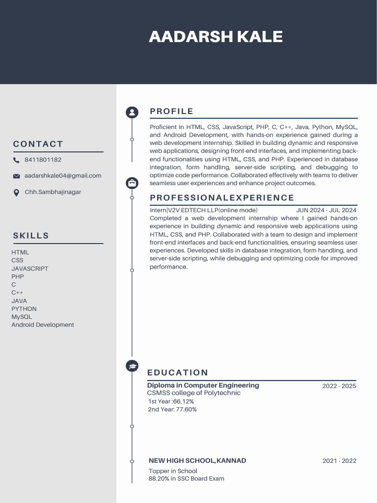 Blue and Gray Simple Professional CV Resume | PDF