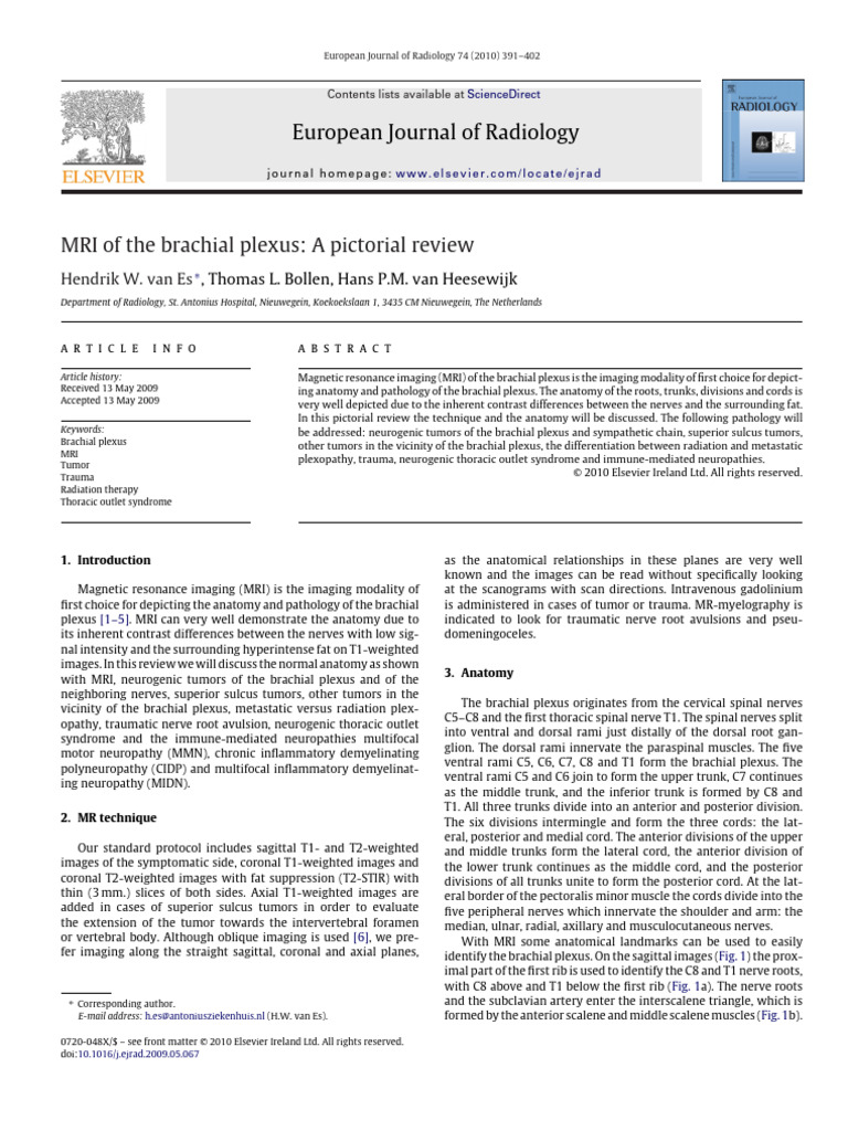 MRI Insights on Brachial Plexus Pathology | PDF | Nervous System ...