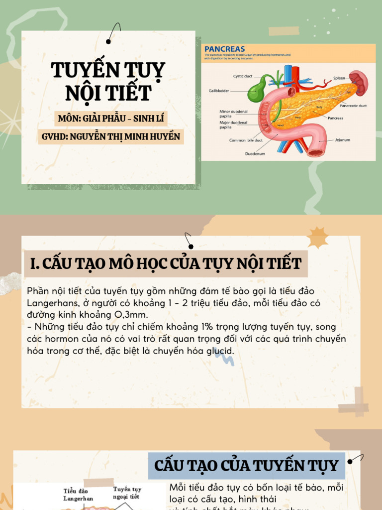 Pathogens and Communicable Diseases Education Presentation in Light ...