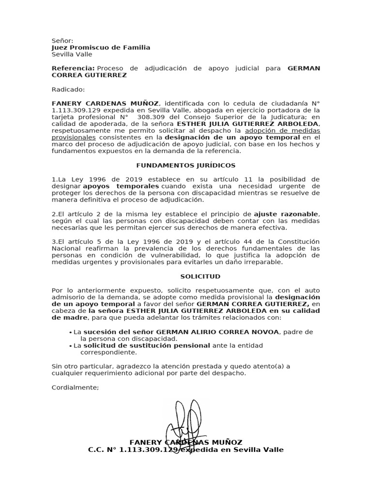 Medida Provisional | PDF