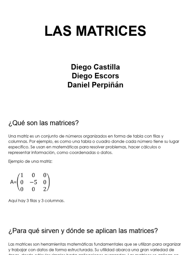 Utilidad y Ejemplos de Matrices en Matemáticas | PDF | Matriz ...