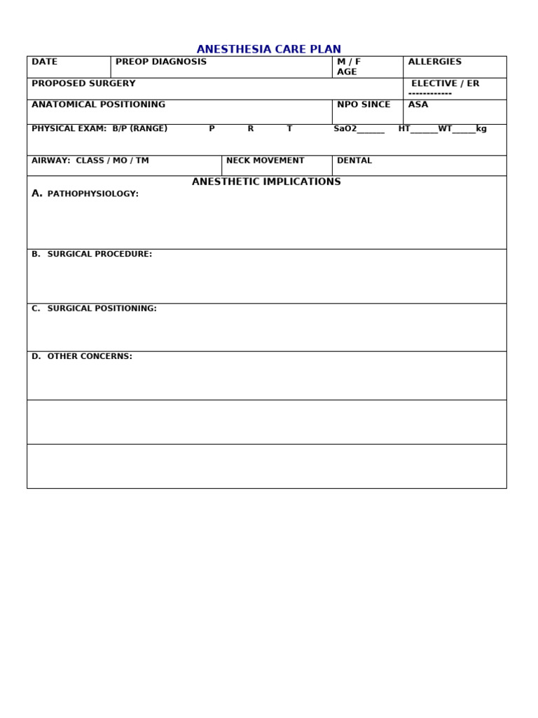 Blank Careplan | PDF