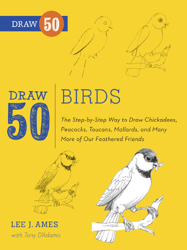 Draw 50 Birds The Step by Step Way To Draw Chickadees Peacocks Toucans ...