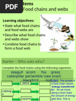 Daintree Rainforest Food Web Overview | PDF