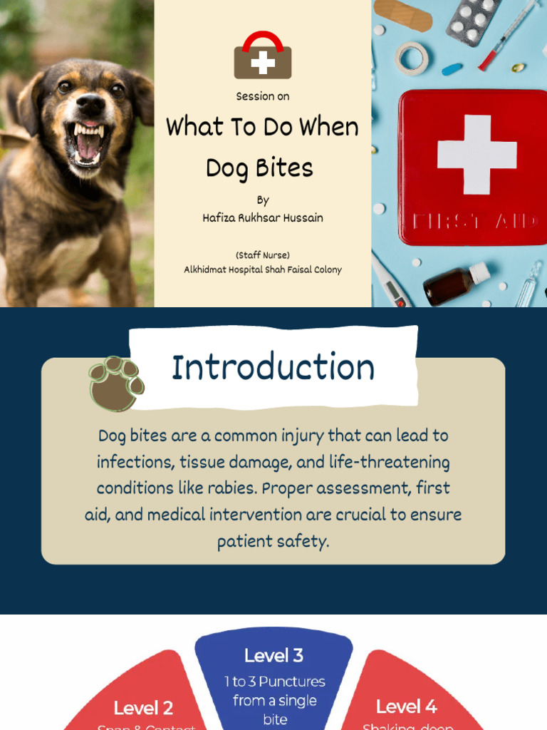 Dog Bite First Aid and Care Guide | PDF
