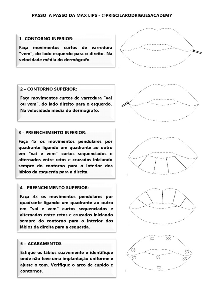 PASSO A PASSO MAX LIPS | PDF