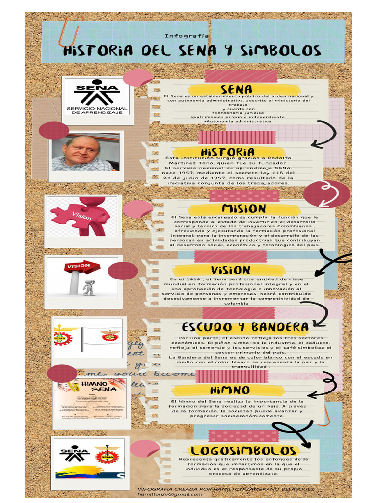 Infografia Sena Hamilton Zambrano Velasquez | PDF