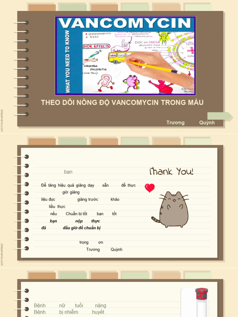 TDM Vanco 2025 SV | PDF