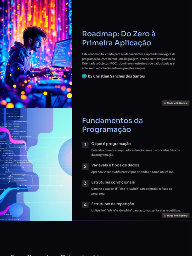 Roadmap para Iniciantes em Programação | PDF | Programação orientada a ...