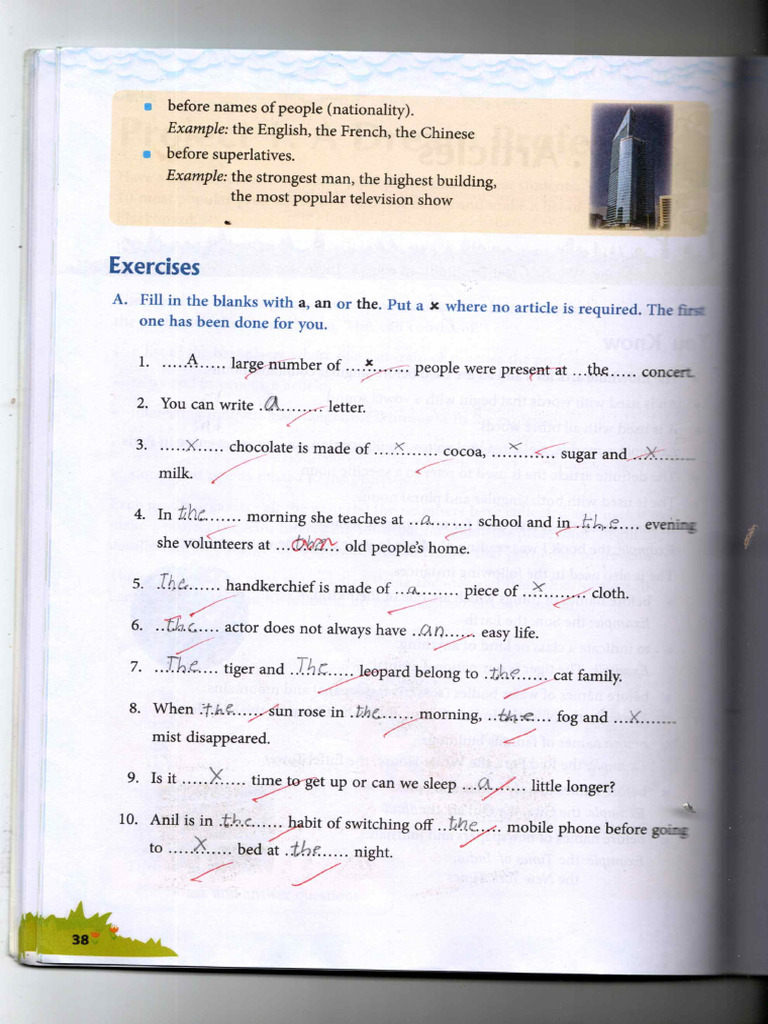 Article and Adjective | PDF