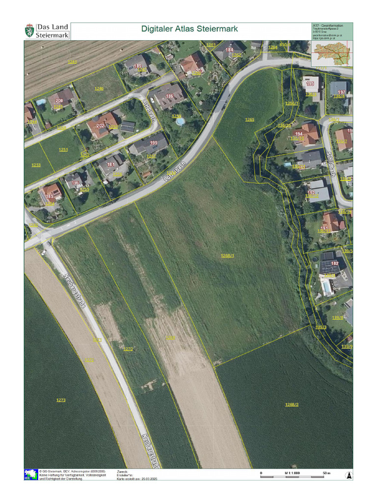 webgis-map_25.03.2025_13_06_18 | PDF