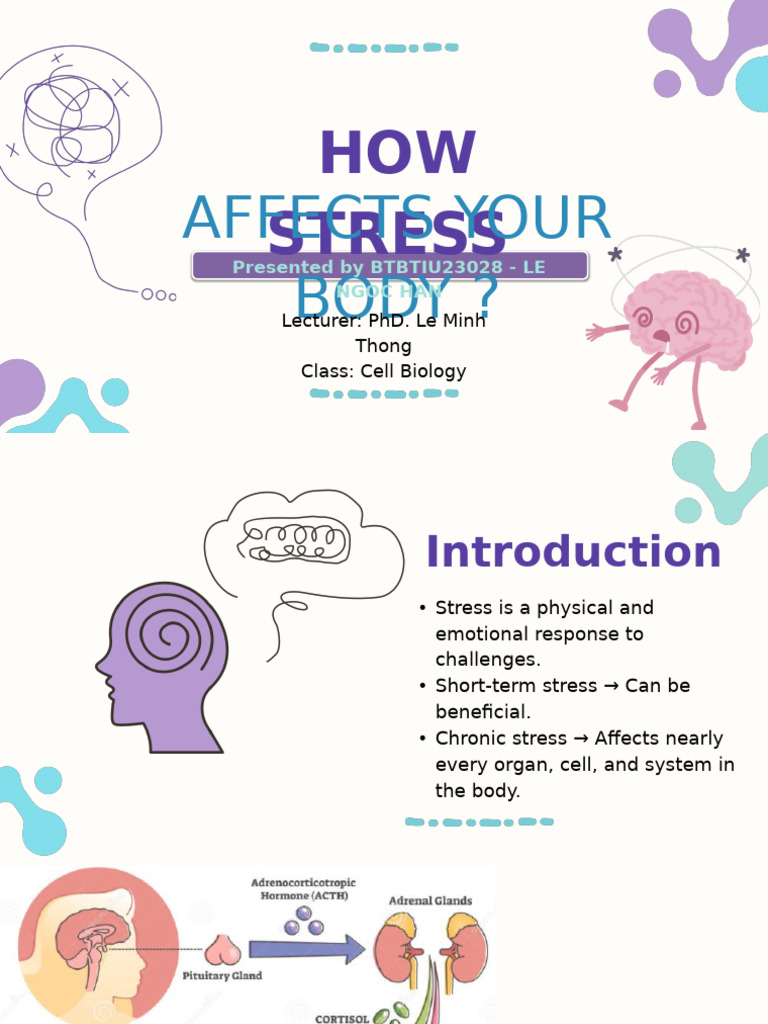 Impact of Stress on Body Health | PDF