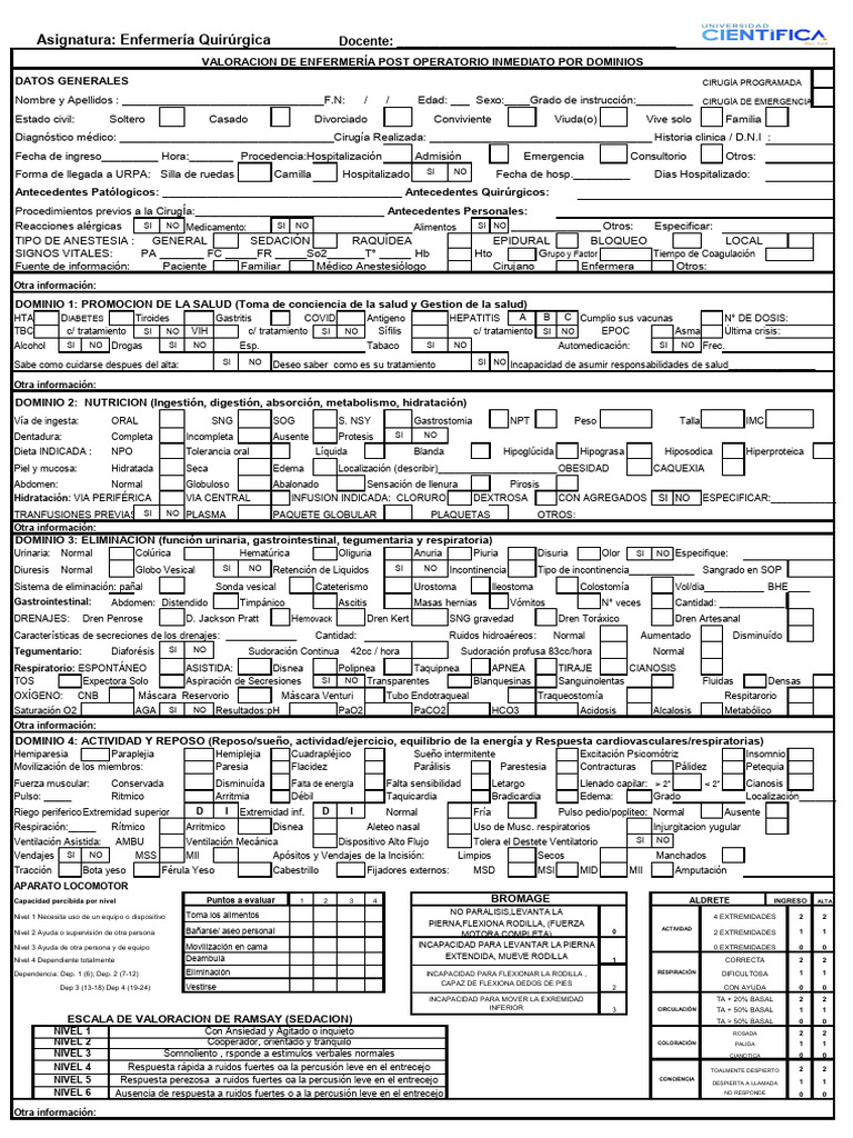 Registro de Valoracion Post Operatorio 2025 | PDF | Dolor | Cirugía