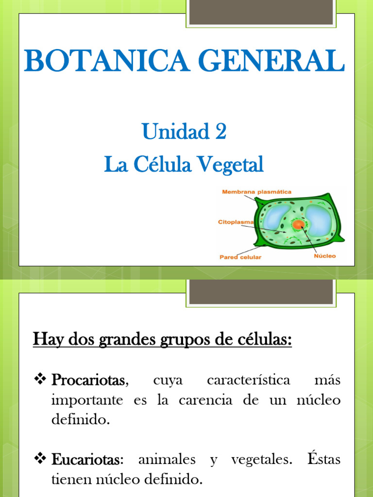 Botanica. Clase 2 Pres | PDF | Biología Celular) | Citoplasma