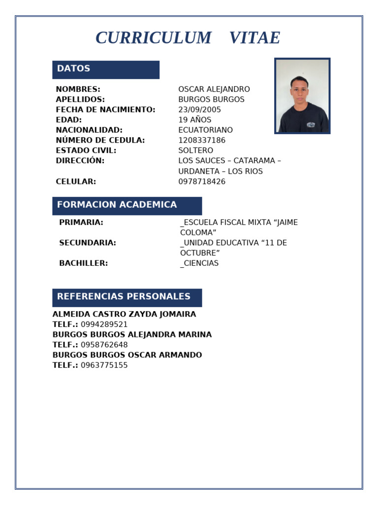 CURRICULUM LUIS CARLOS | PDF