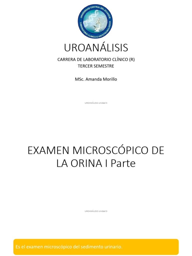 Examen Microscópico de Sedimento Urinario | PDF | Leucocito | Epitelio