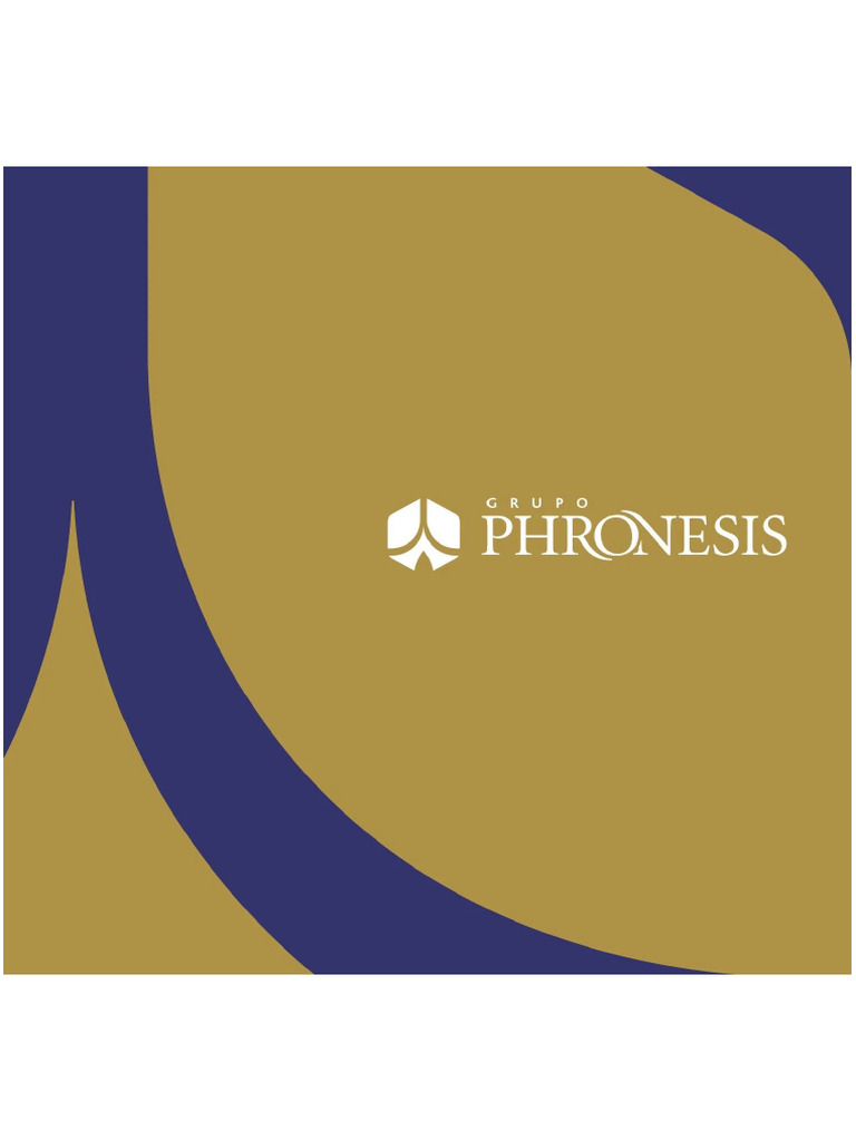 Phronesis Group Booklet | PDF