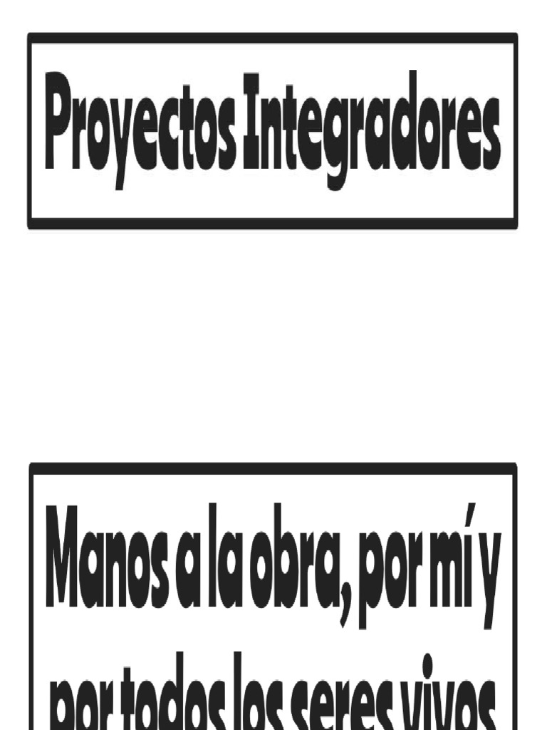 TÍTULO PROYECTOS INTEGRADORES | PDF