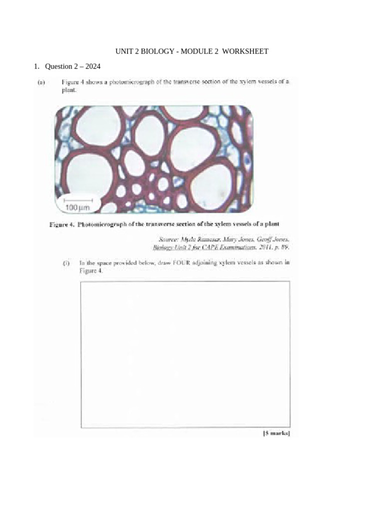 UNIT 2 BIOLOGY | PDF