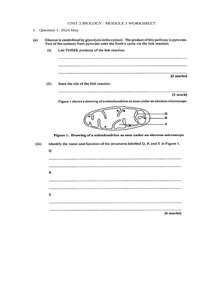 MODULE 1 WORKSHEET | PDF