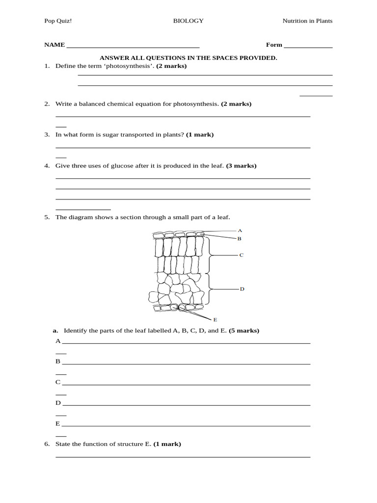 Plant Nutrition Quiz: Photosynthesis Basics | PDF