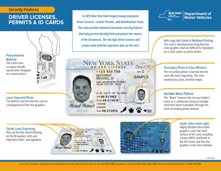 DriverLic ID Permit Security | PDF | Identity Document | Driver's License