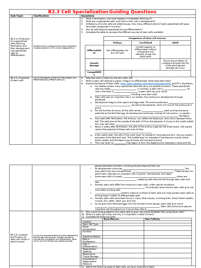 Stem Cells and Cell Specialization | PDF | Cell Potency | Cellular ...