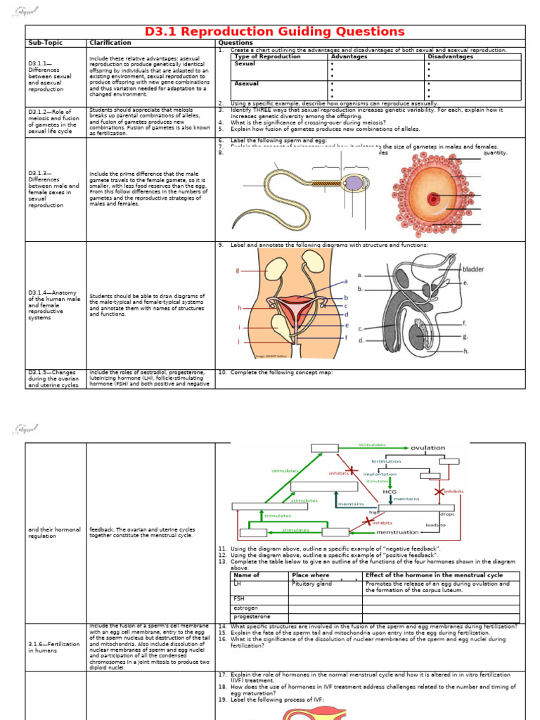 D3.1 Reproduction Guiding Questions | PDF | Sexual Reproduction | Placenta