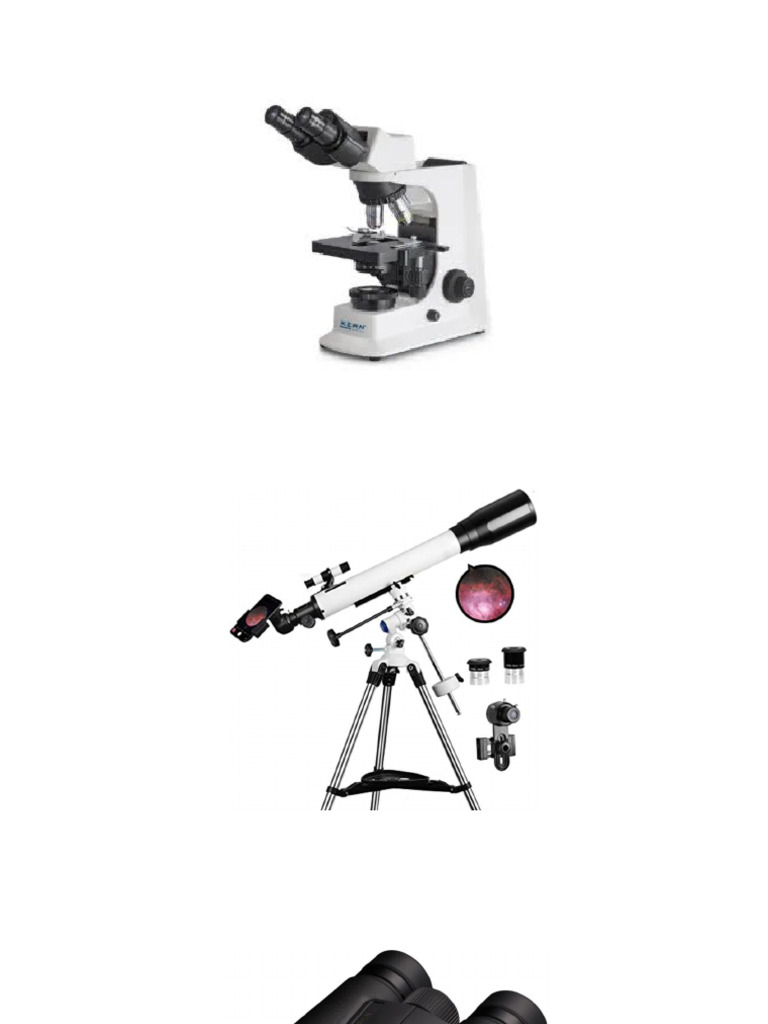 Science Scrapbook | PDF