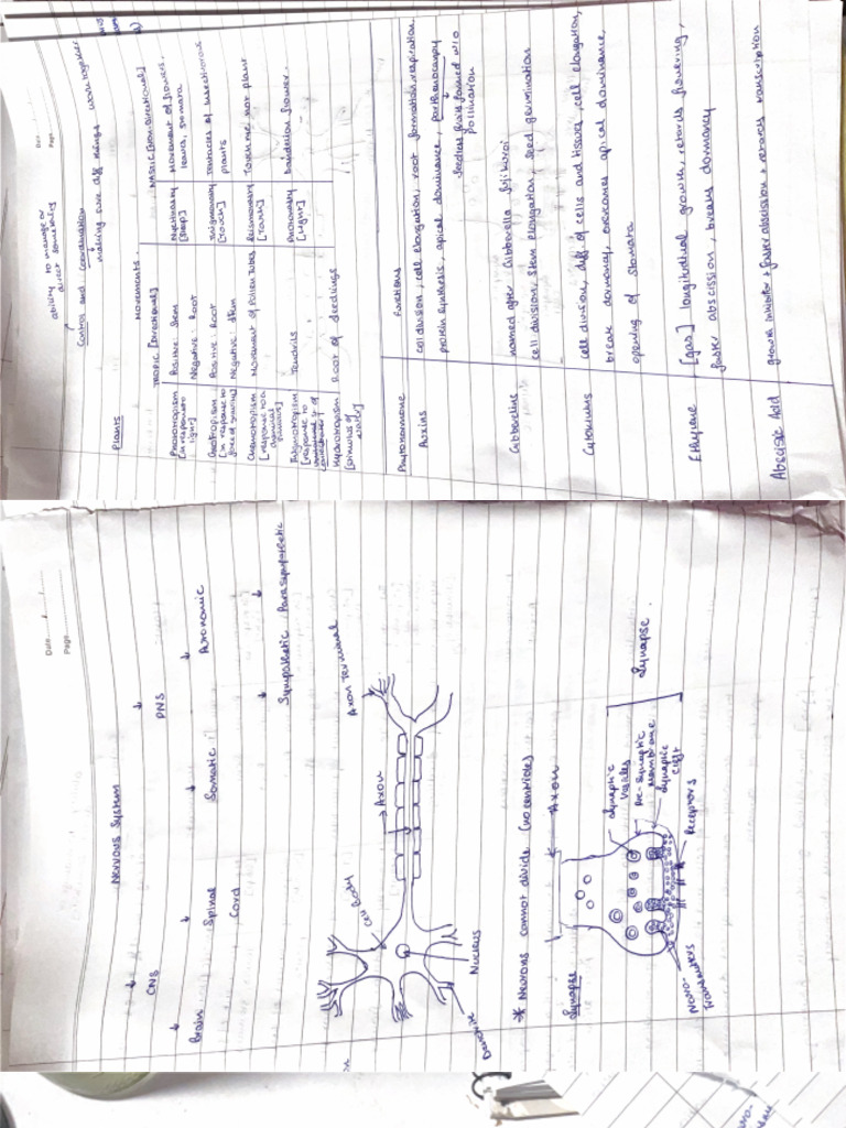 Biology Class 10 Notes | PDF