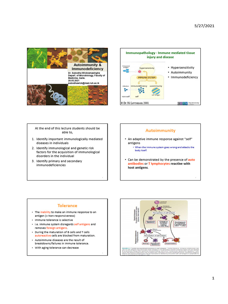 Autoimmunity and Immunodeficiency Overview | PDF | Immune System ...