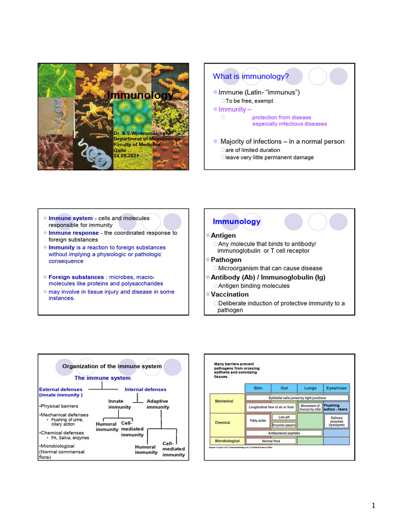 M3 Immunology - Handout - To LMS | PDF | Immune System | Antibody