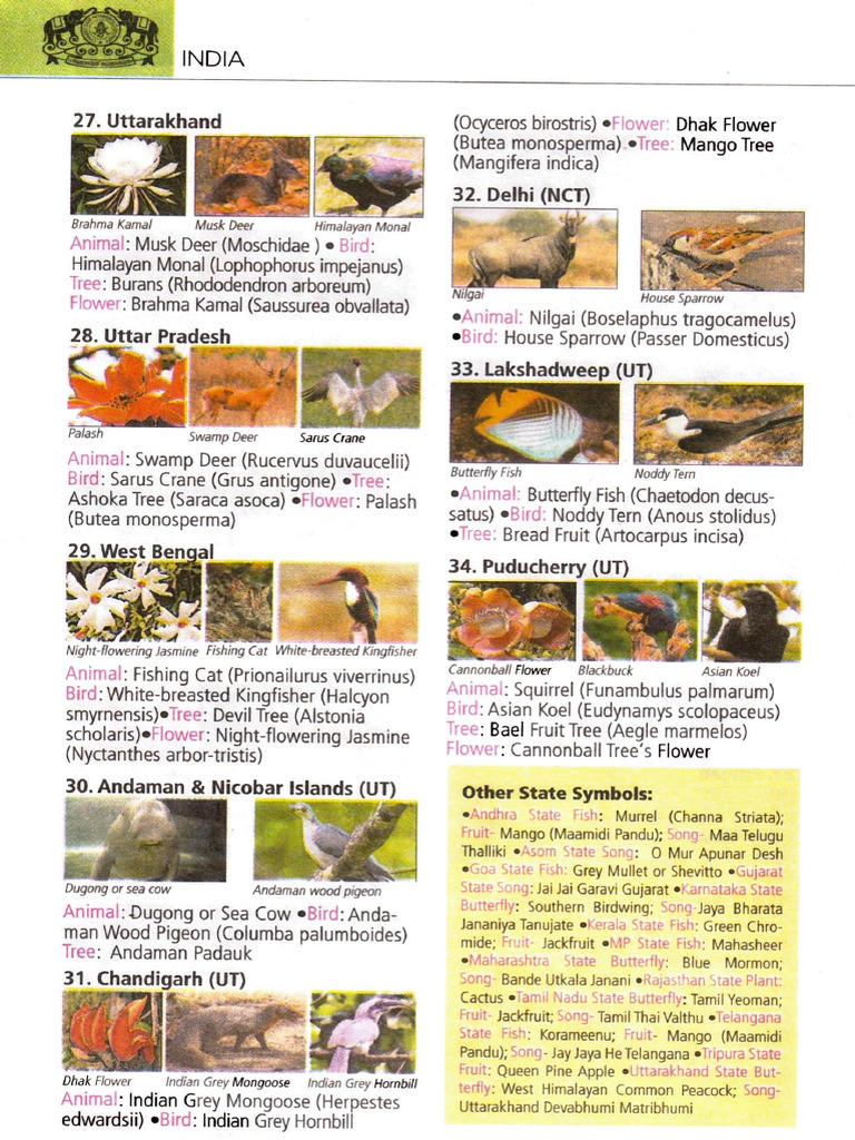 State Symbol 1 | PDF