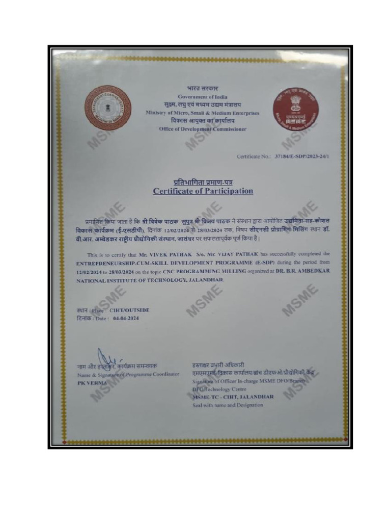 Vivek Pathak PR Co-Curricular Activities | PDF