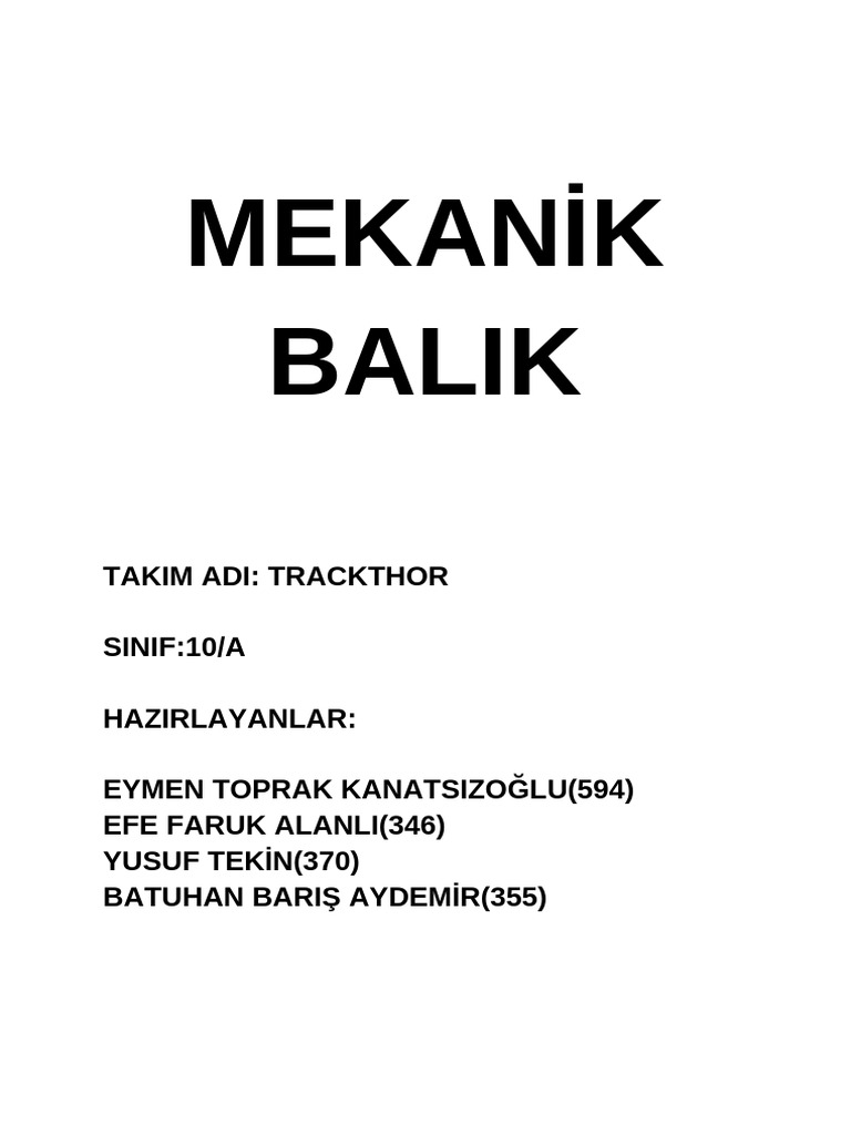 Eymen Toprak Kanatsızoğlu, Efe Faruk Alanlı, Yusuf Tekin, Batuhan Barış Aydemir Mekanik Balık ...