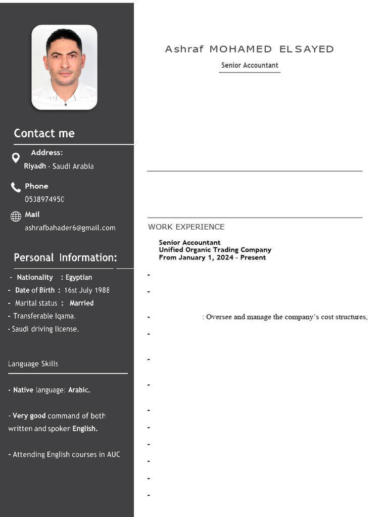 Ashraf Elsayed CV 12-2024 | PDF | Expense | Audit