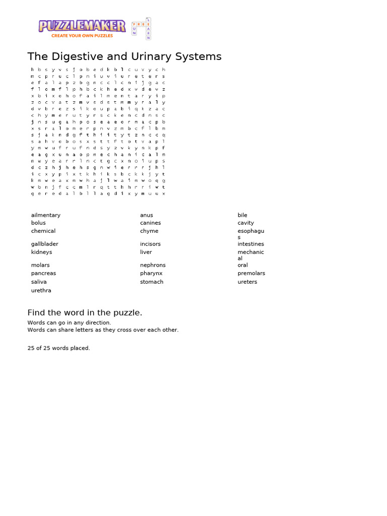 Word Search Puzzle - Digestive-and-Urinary-1 | PDF
