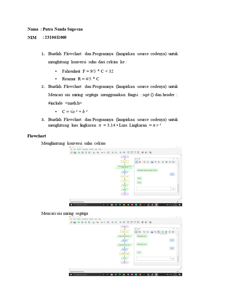 Putra Nanda Sugesna 2310611060 Bahasa Pemrograman C | PDF