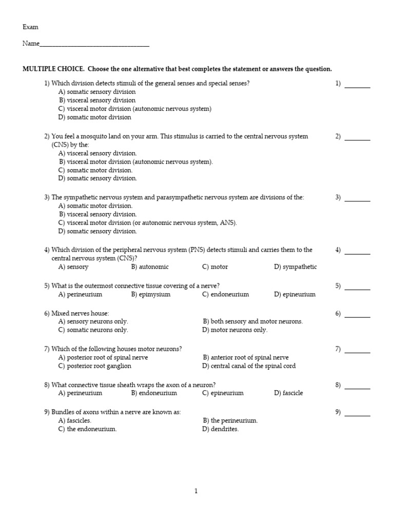 Nervous System Exam Questions | PDF | Motor Neuron | Nervous System